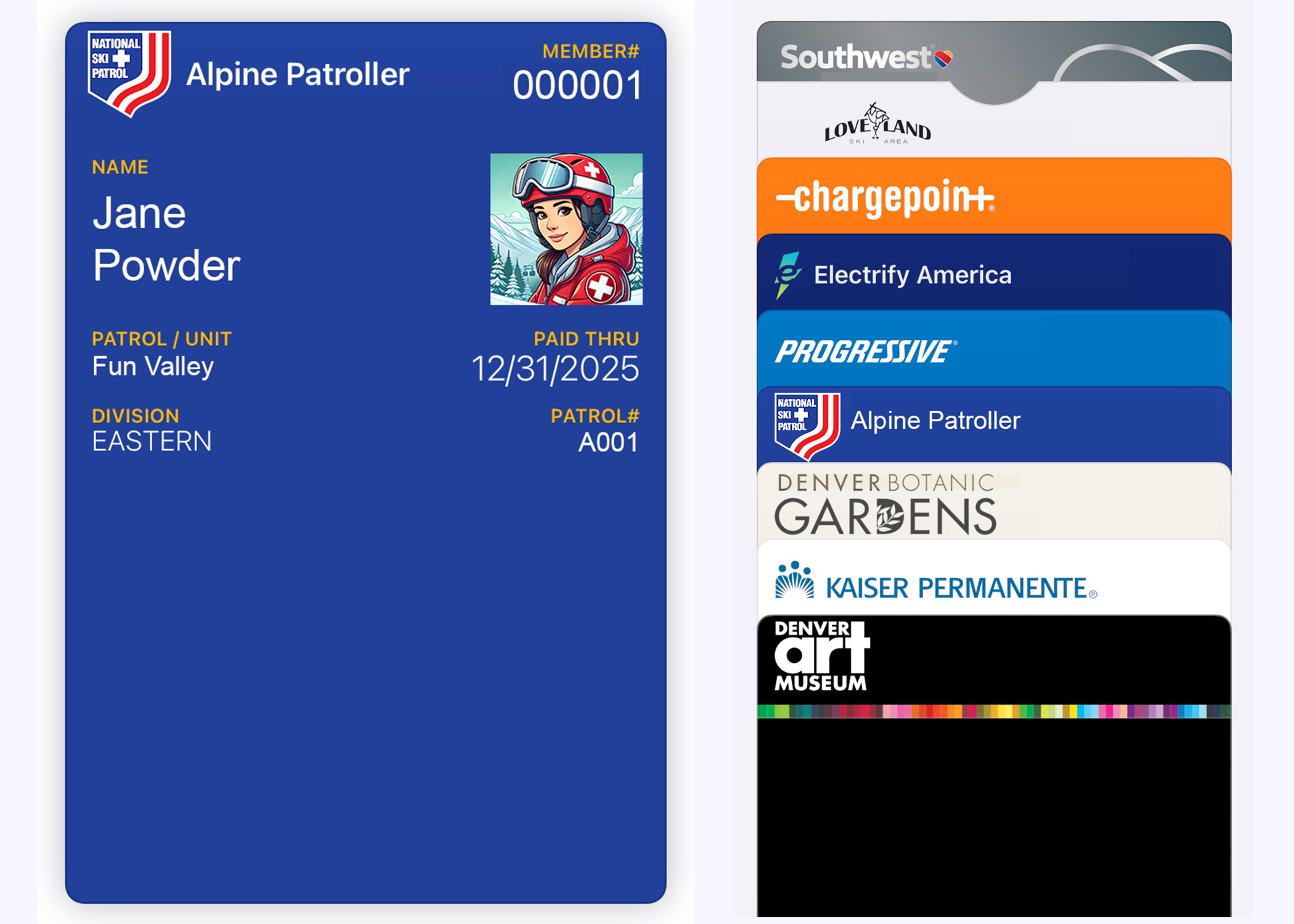 How to access and use your digital NSP membership card – National Ski ...